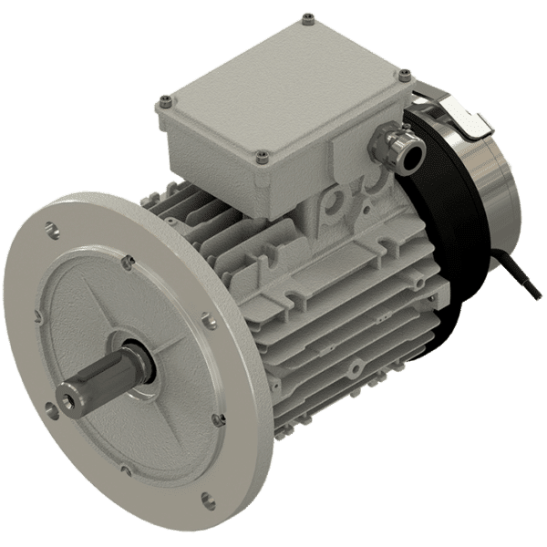 PMAC D.152mm - AC brushless motor with permanent magnets