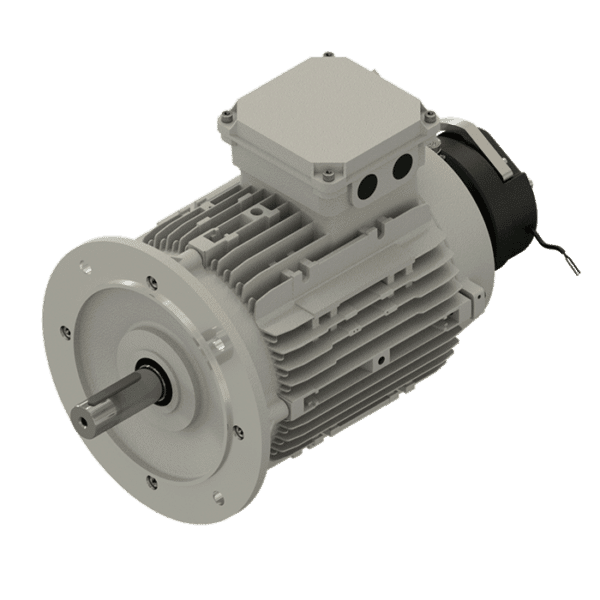 PMAC D.240mm - Brushless Ac motor with permanent magnets